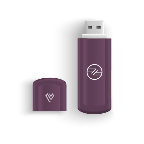 e-Invoice | I Value Solutions